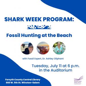 Shark Week Program: Fossil Hunting at the Beach | Piedmont ...